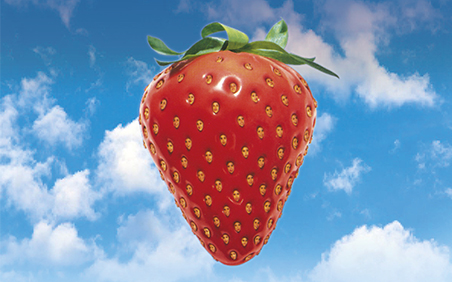 Lightning Seeds Tickets | The London Palladium | Official Box Office